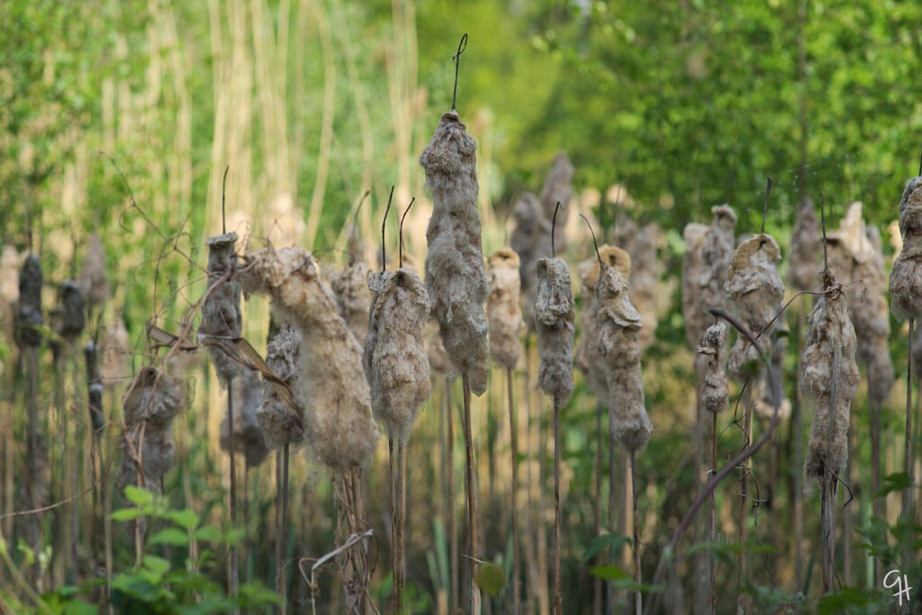 Nature is messy – Gerhard Hoogterp