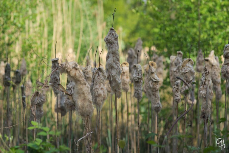 Nature is messy – Gerhard Hoogterp